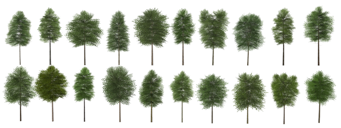 20 SketchUp 3D Trees V1 | SketchUcation